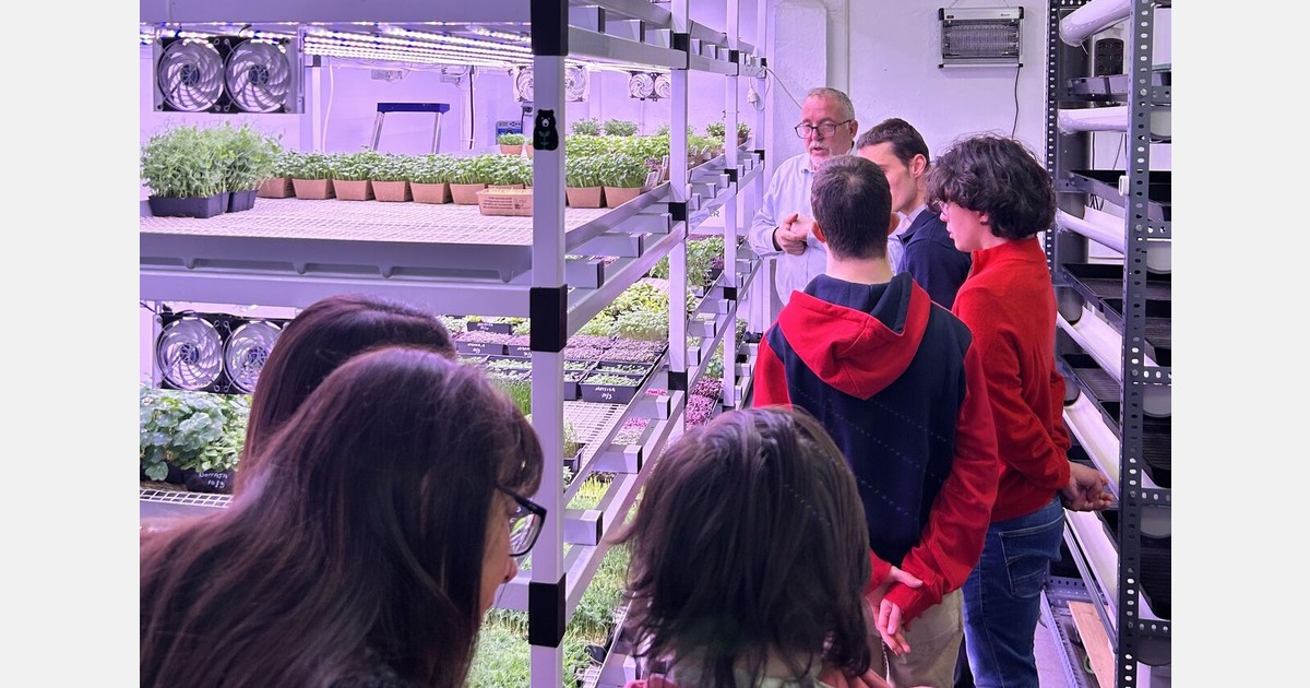 "Urban farming kan toegankelijk en impactvol zijn als het eenvoudig en inclusief wordt benaderd"
