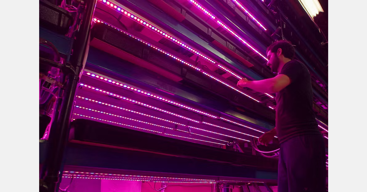 "Als je een burn-out krijgt, stort het hele systeem in"