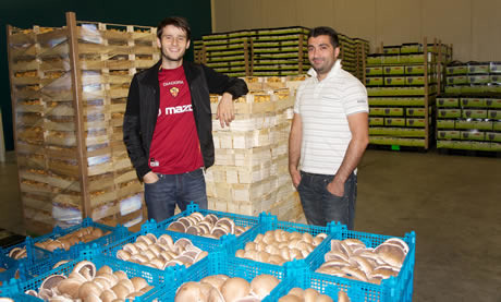 Mitro Fresh verhuist naar ABC Westland