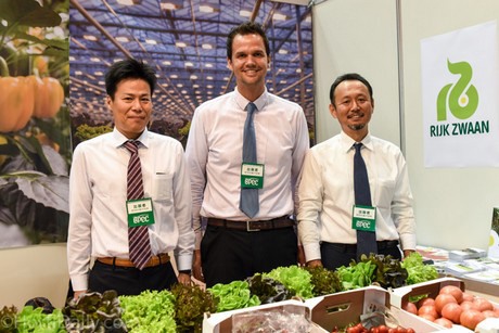 Rijk Zwaan Japan: Van roze tomaten tot de introductie van paprika's